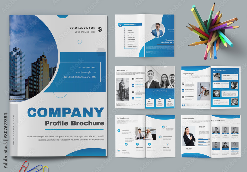 Company Profile Template Layout With Blue Accents Stock Template ...