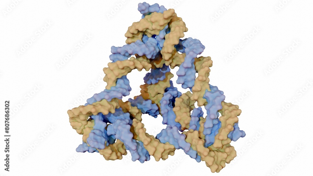 The DNA tetrahedron is designed to be mechanically robust; it consists ...