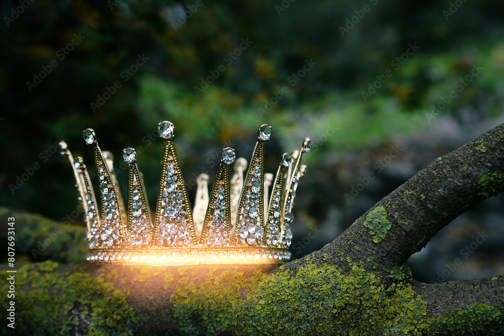 mysterious and magical photo of gold king crown in the woods. Medieval ...