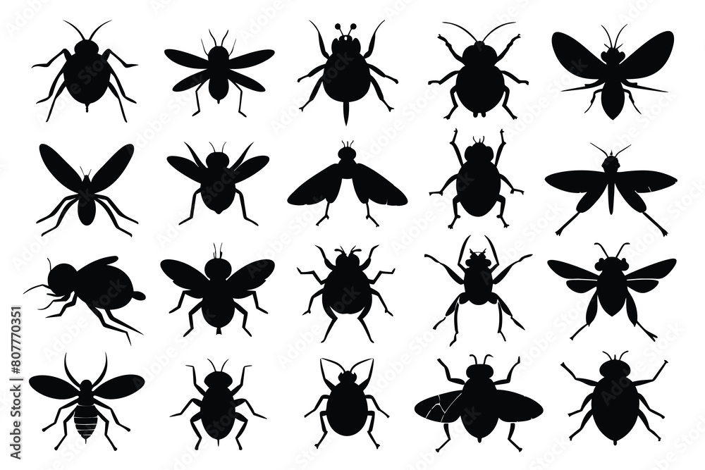 Set of Fly black Silhouette Design with white Background and Vector ...