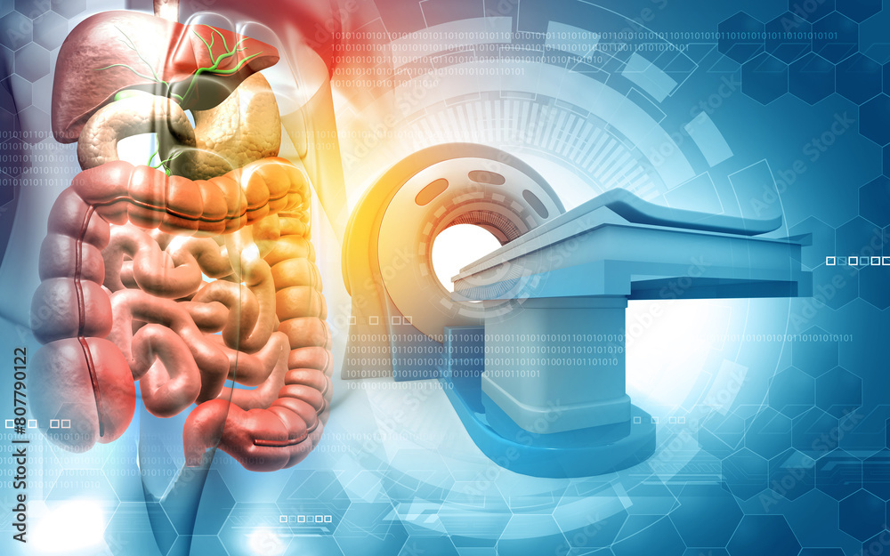 Human internal organs anatomy with CT scan machine. 3d illustration ...
