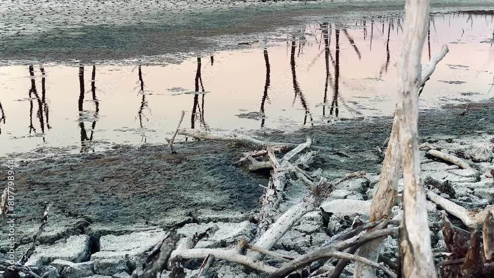 Destroyed mangrove forest scenery, Mangrove forests are destroyed and ...