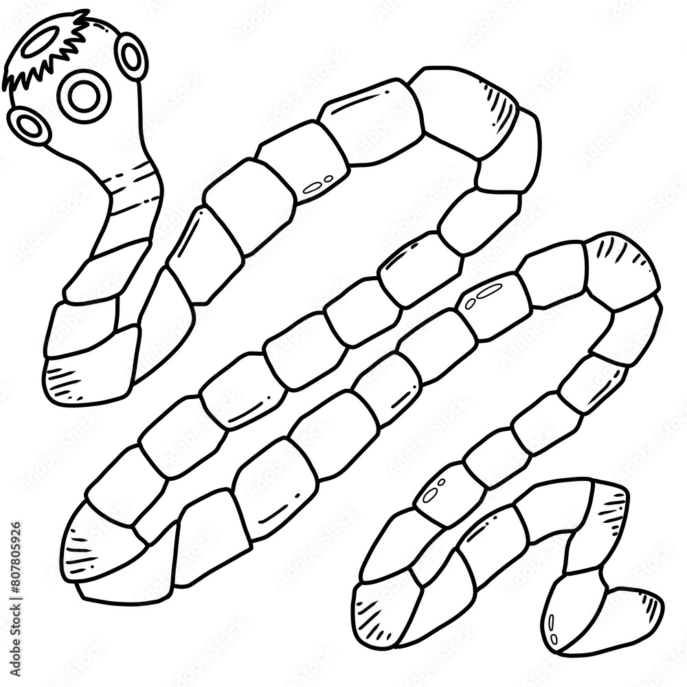 Pork tapeworm created by hand drawing Stock Illustration | Adobe Stock