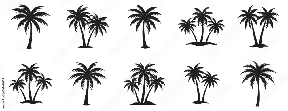 Palm vector illustration. Different Miami palms hand drawn black on ...