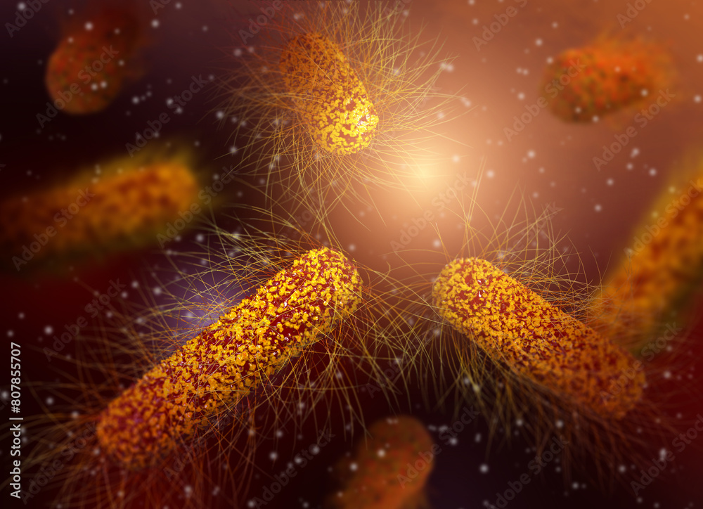 Medical background, bacteria facultative anaerobes, Salmonella ...