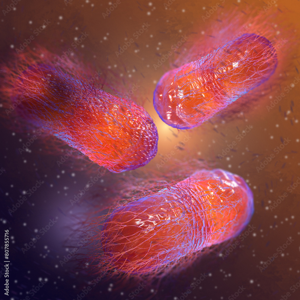 Medical background, bacteria facultative anaerobes, Salmonella ...