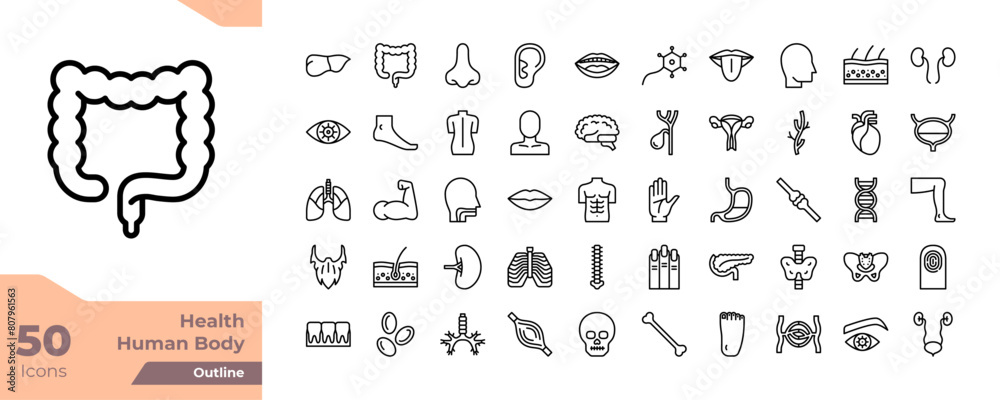 Human Body Outline Icons Stock Vector | Adobe Stock