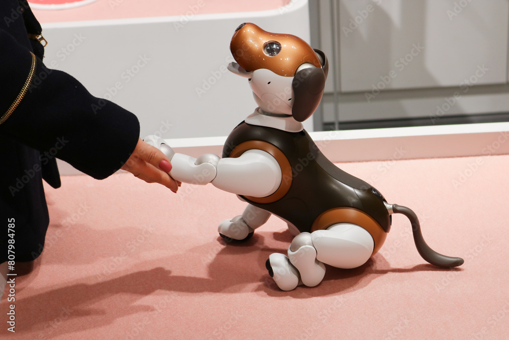 TOKYO, JAPAN - December 11, 2019: A Sony Aibo robot dog shaking hands ...