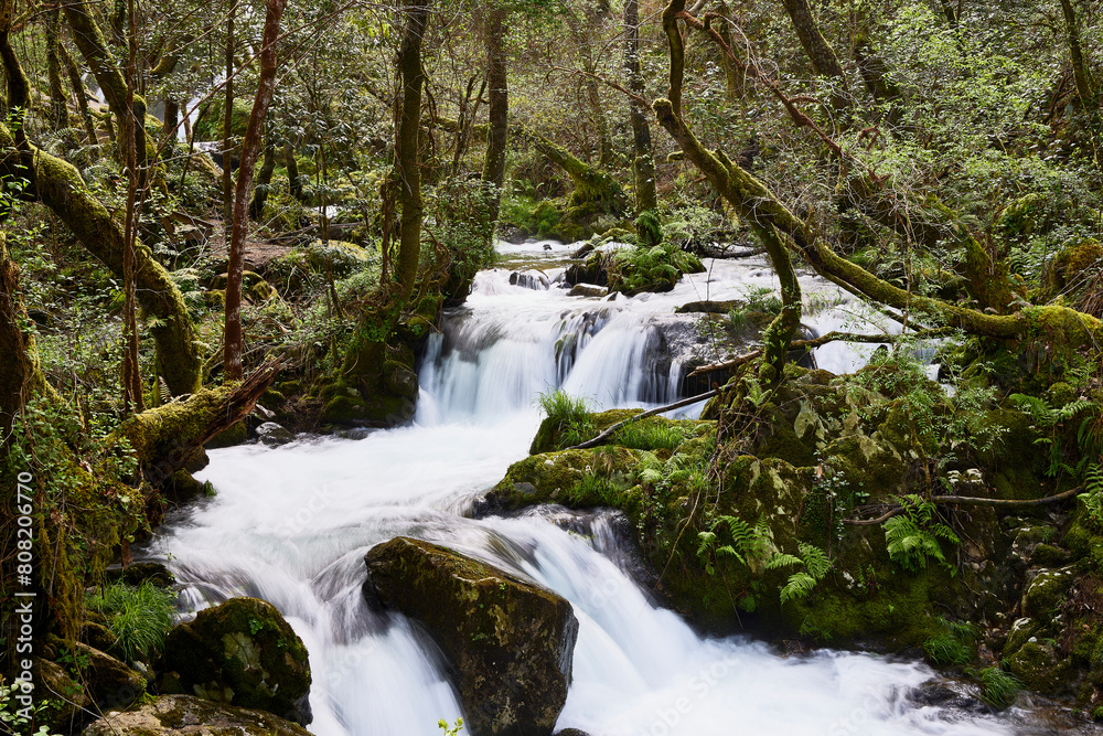 River and waterfalls. Landscape of a forest with a small river, rocks ...