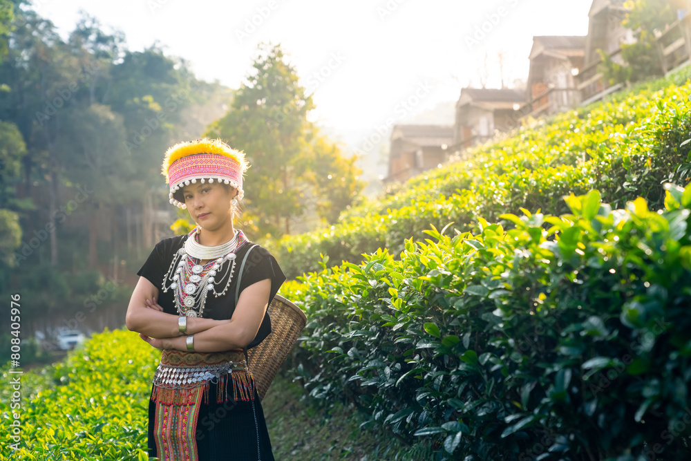Portrait of Asian woman farmer working in tea plantation in Chiang Mai, Thailand. Hill tribes ...