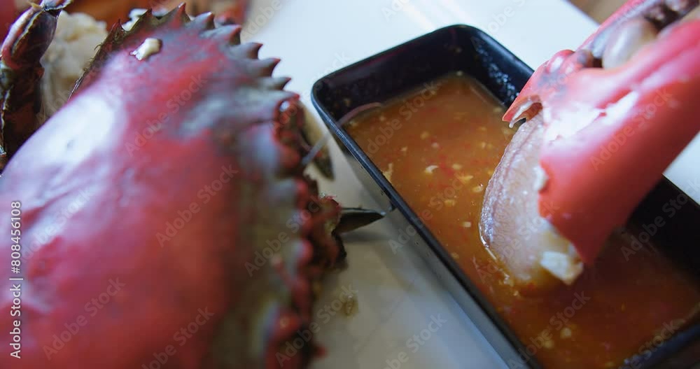 Close up fresh steamed jumbo giant mud crab is being cooked dripping in ...