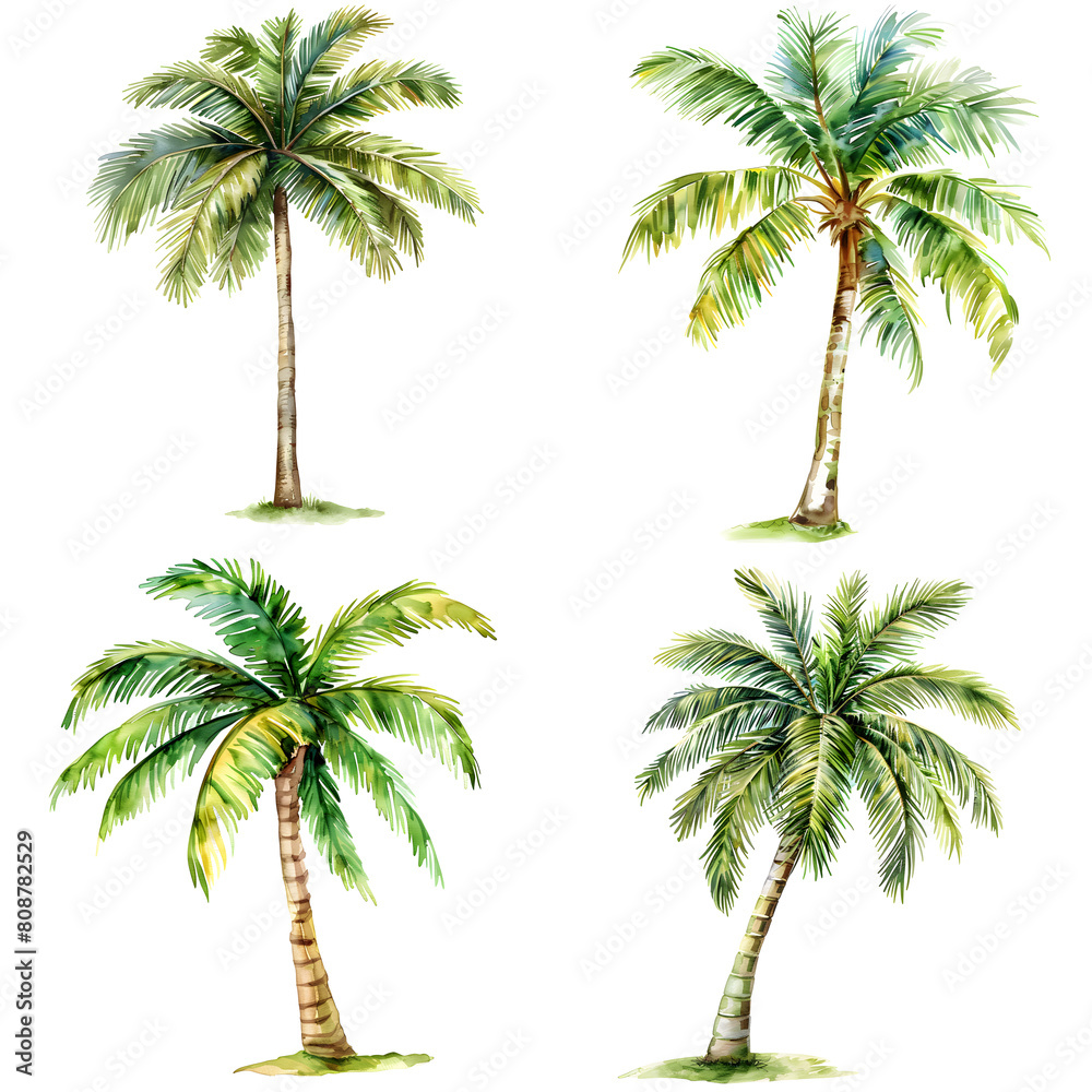 Trees front view, PNG, watercolor style vector tree, palm tree ...