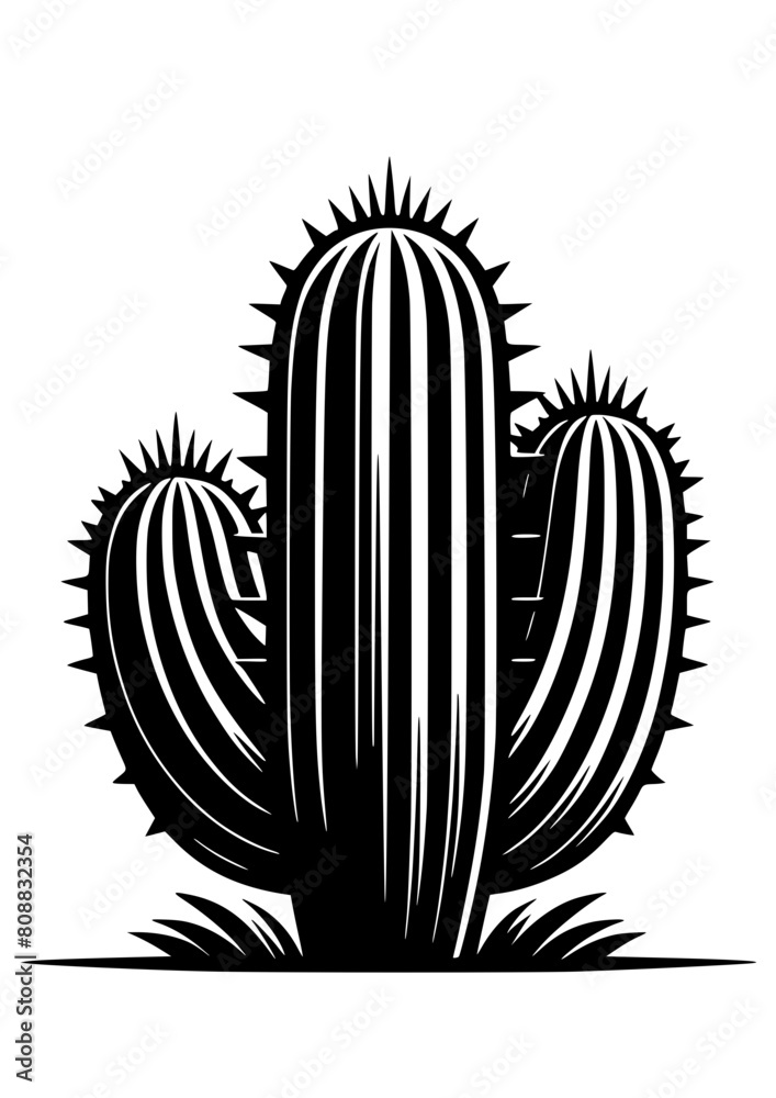 Cactus SVG, Cactus SVG files for cricut, Cactus Silhouette, PNG, Cactus ...