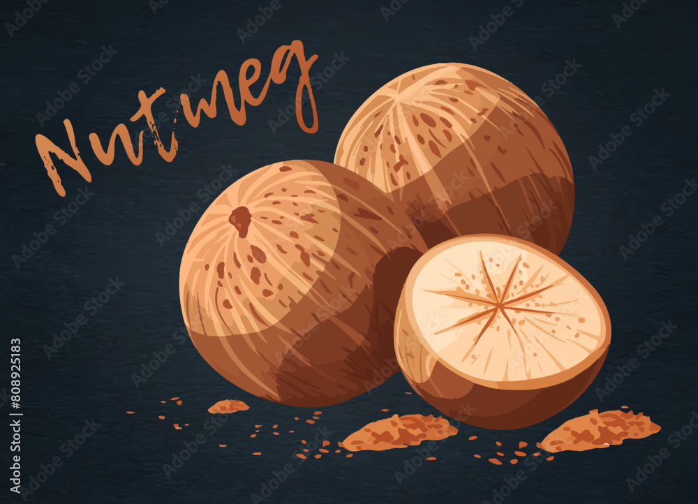 Nutmeg vector icon on black background. Cartoon illustration of nutmeg ...