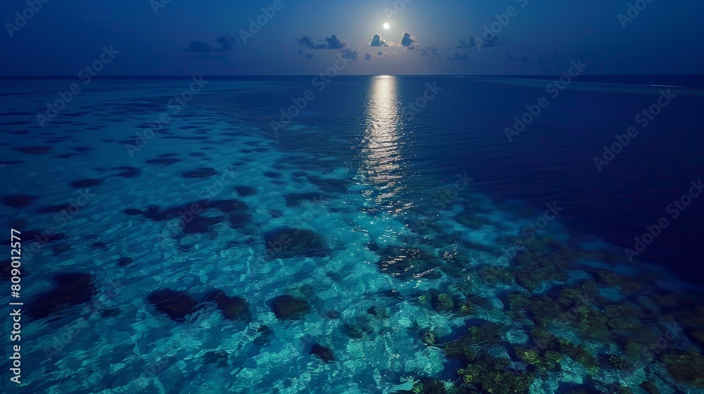 Moonlight on Tropical Waters, Drone footage of tropical waters lit by ...