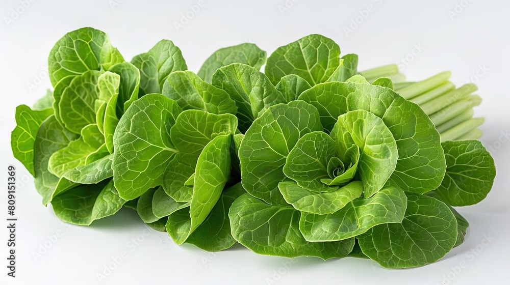 A close-up image of a bunch of fresh, green bok choy. The leaves are ...