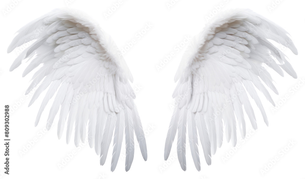 PNG Pair of white angel wing bird white background archangel. Stock ...