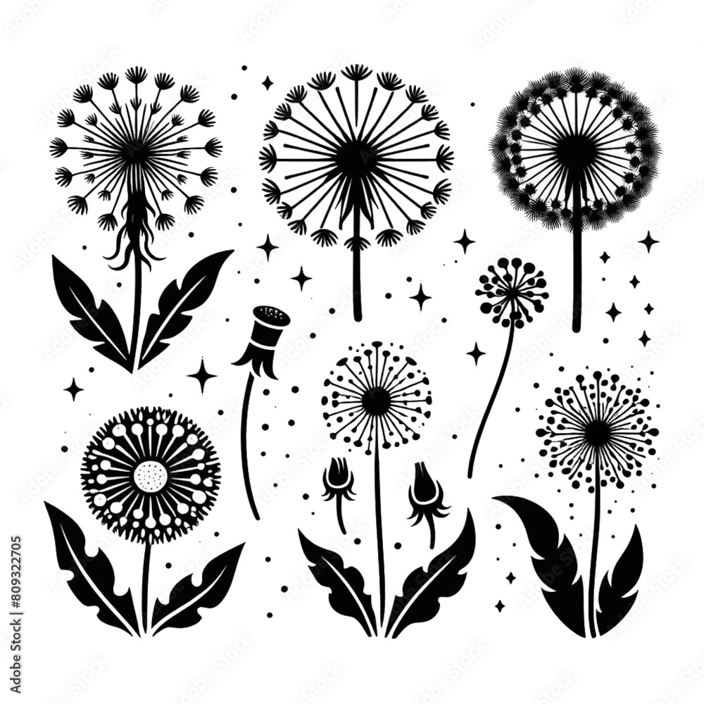 DANDELION SVG, Dandelion Svg Bundle, Dandelion Cricut, Dandelion ...