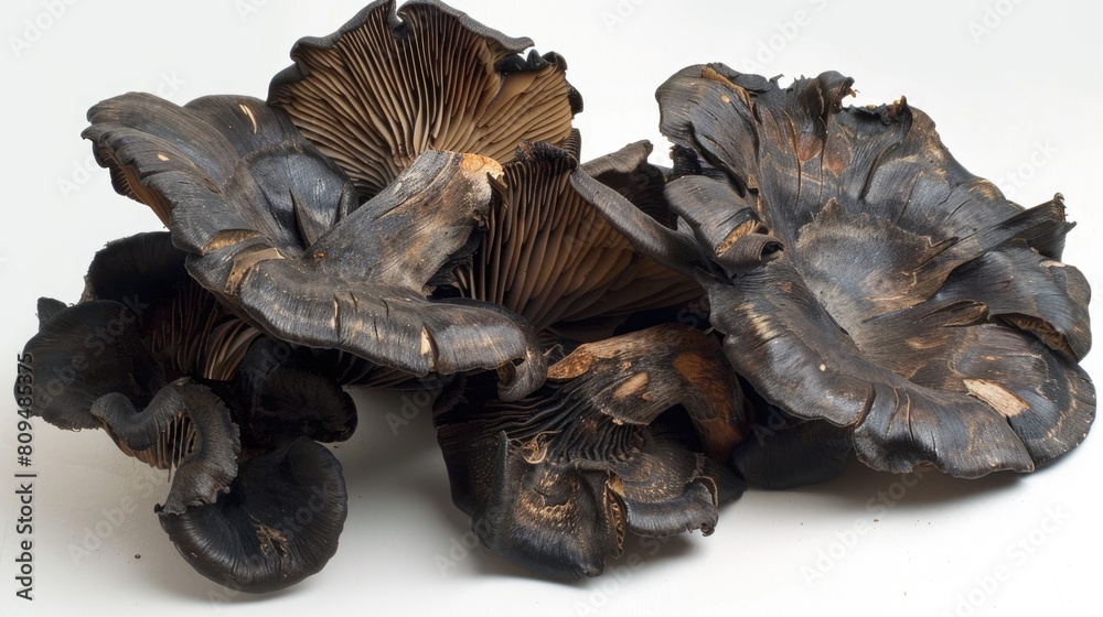 Black Trumpet Mushroom: A Dry and Healthy Ingredient for Nature ...