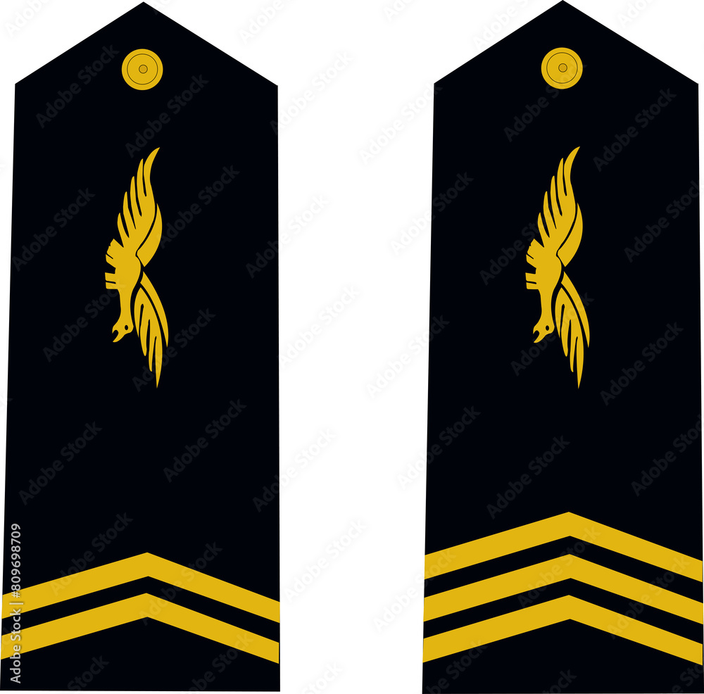 Galon de l'armée de l'air française: Ensemble grade sous-officier ...