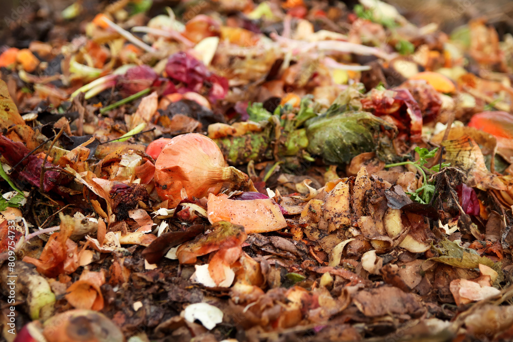Compost background close up. Compost above the composter with organic ...