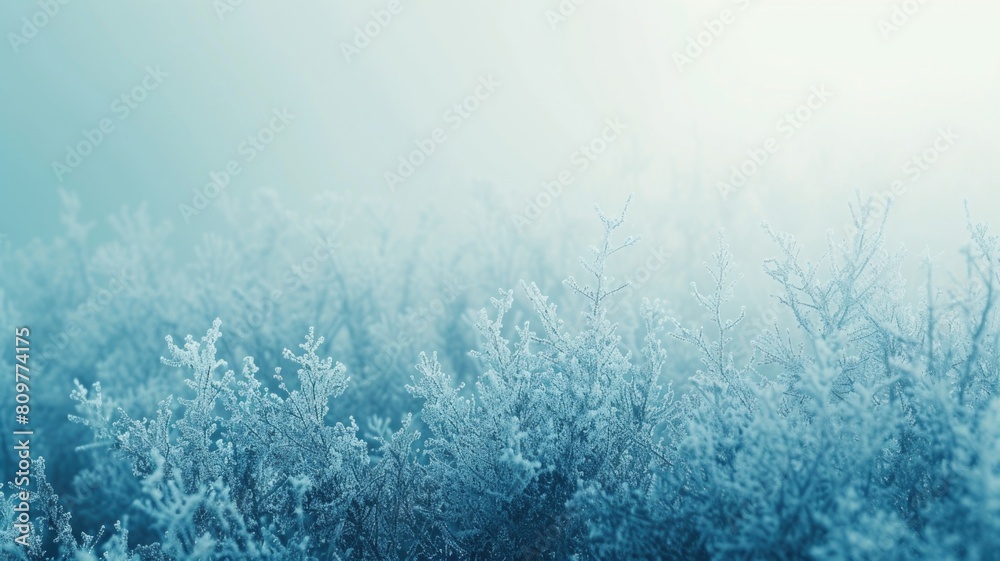 frosty grainy gradient transitioning from icy blue to snowy white ...