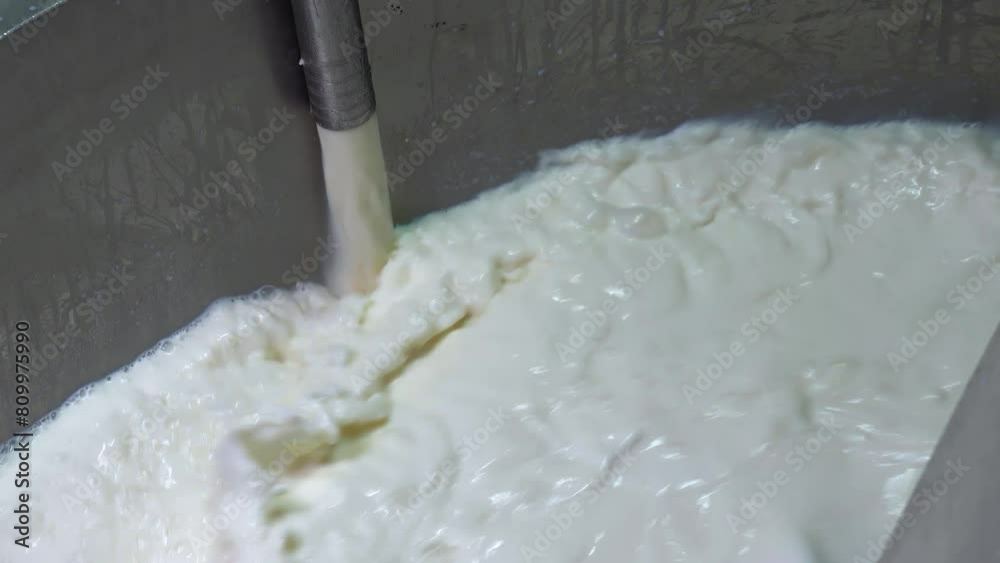 Milk Pasteurization and Safe Milk Production - Zoom Out Shot. Raw Milk ...