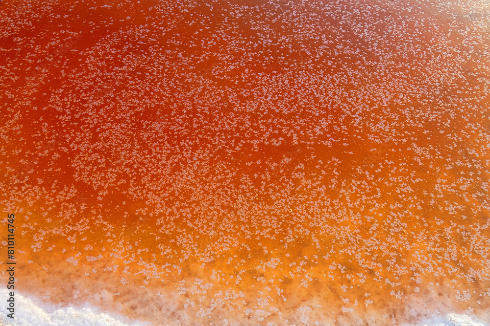 Mineralogy. Shore of hypersalted lake with deposition of salt crystals ...