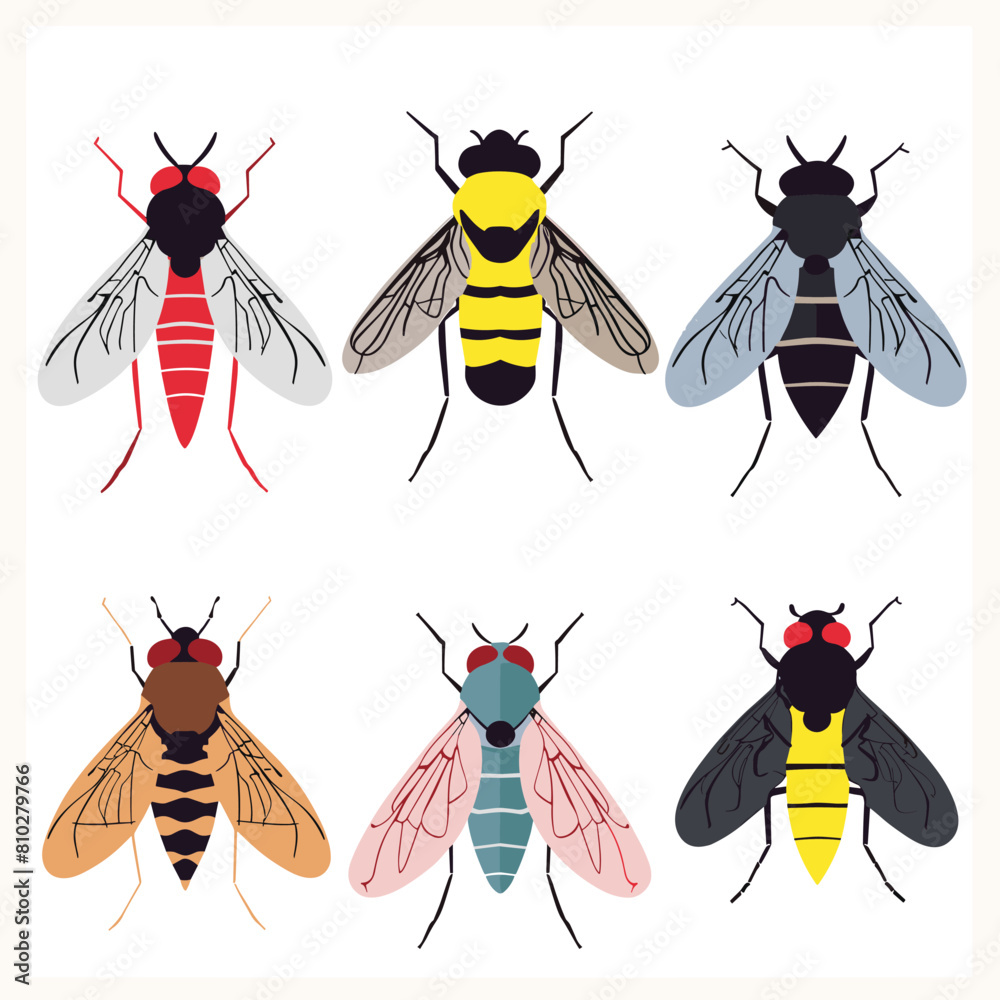 Six stylized insects illustrated colorful design graphic. Flat design ...