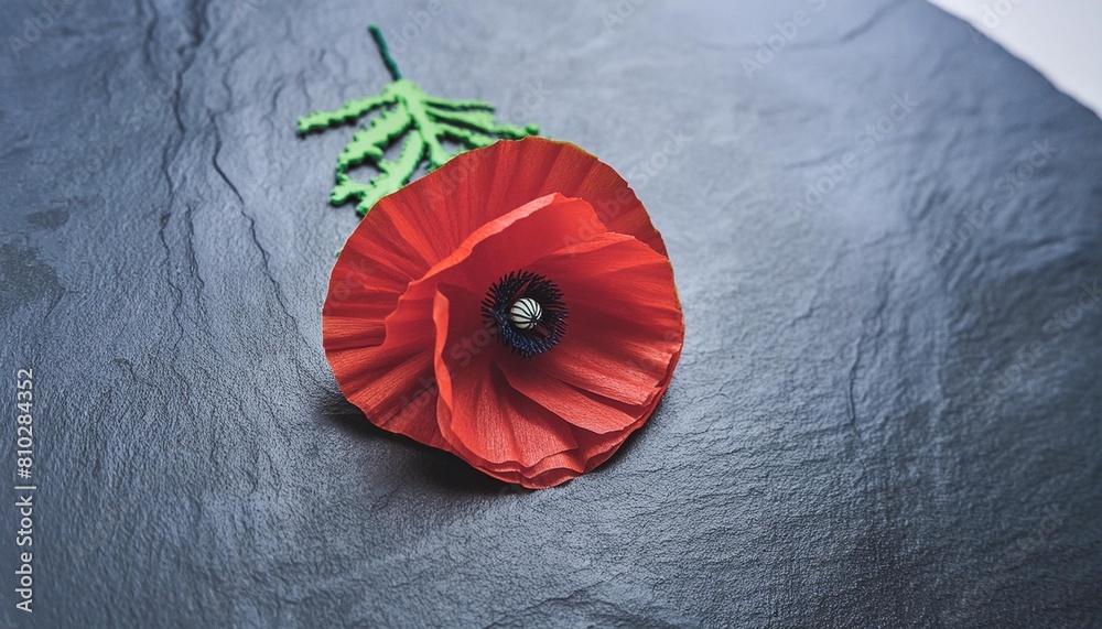 red poppy flower on black background remembrance day armistice day ...