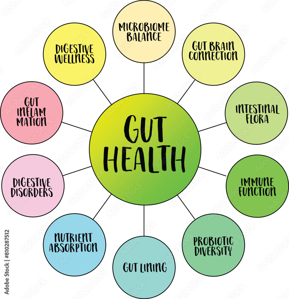 gut health, well-being of your gastrointestinal, GI tract, vector mind ...