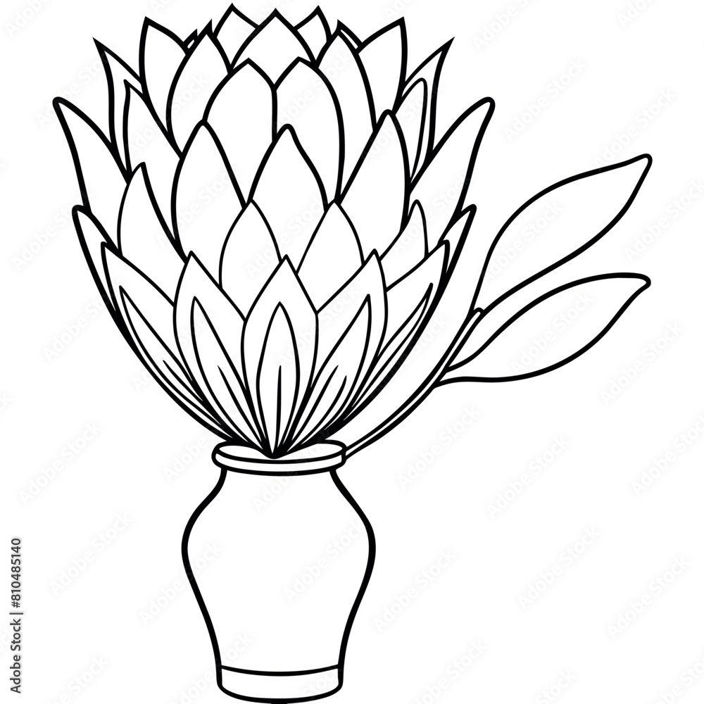 Protea flower outline illustration coloring book page design, Protea ...