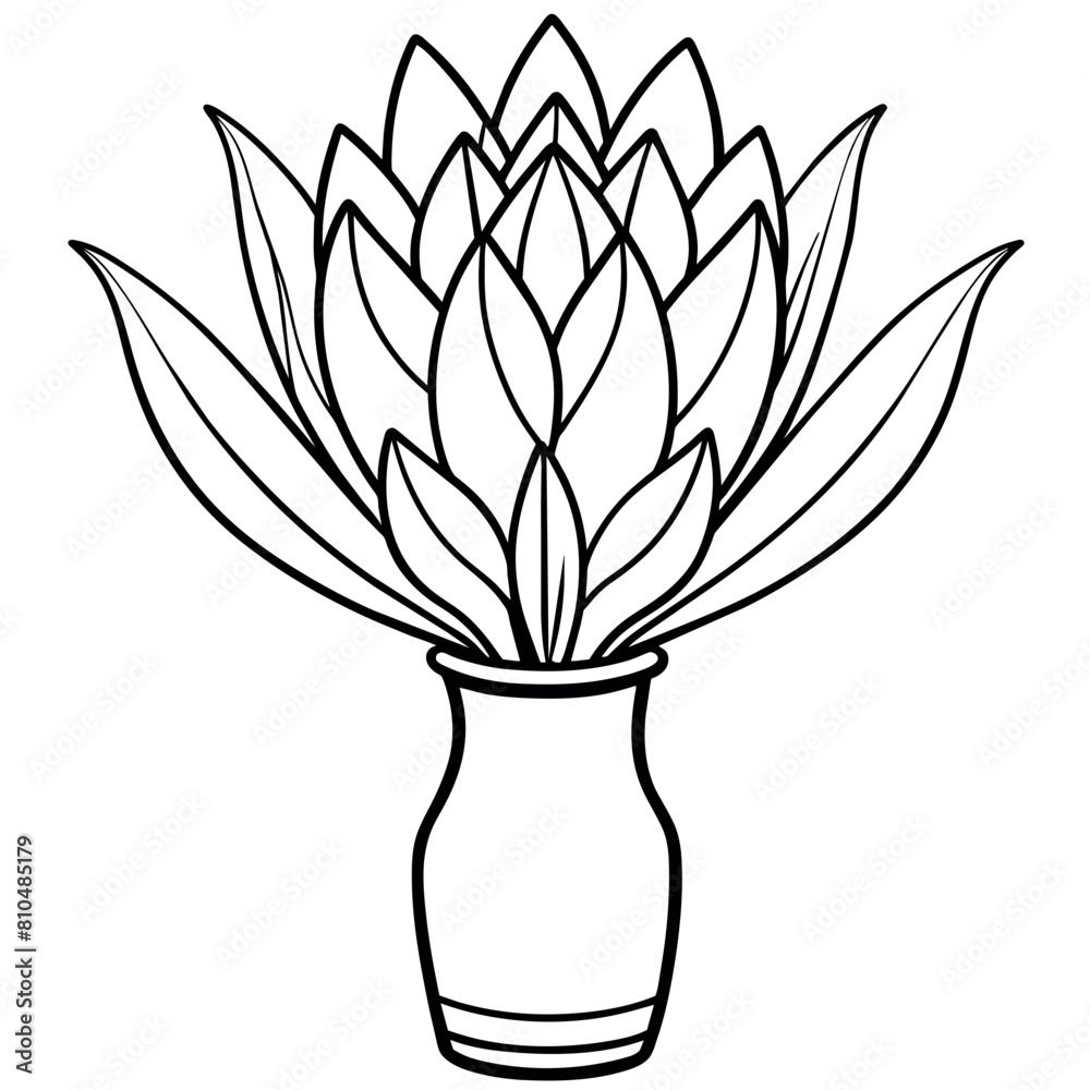 Protea flower outline illustration coloring book page design, Protea ...