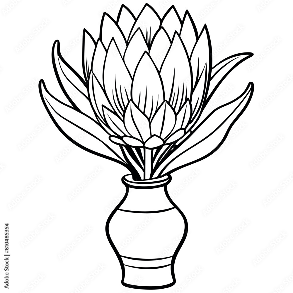Protea flower outline illustration coloring book page design, Protea ...