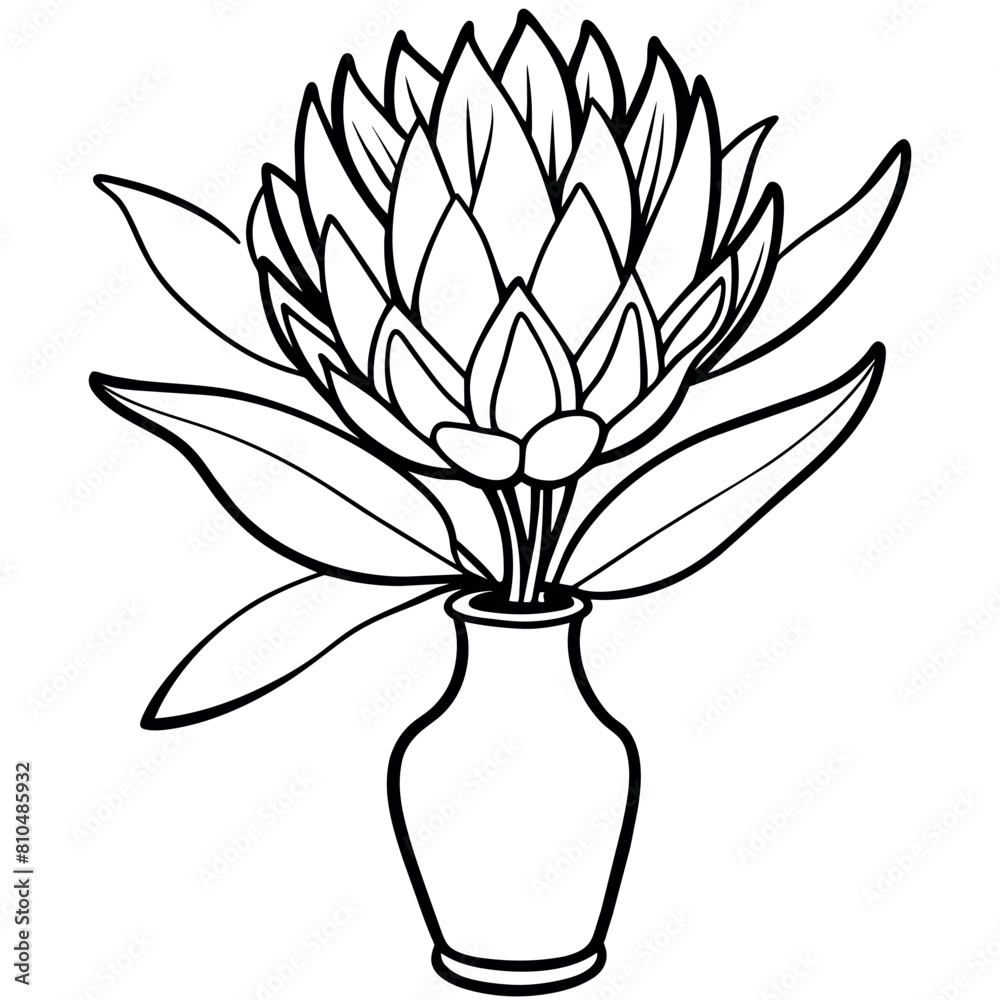 Protea flower outline illustration coloring book page design, Protea ...