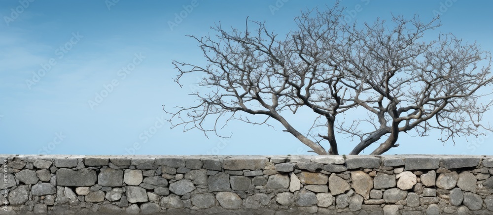 The image features bare branches of a spring tree stretching above an ...