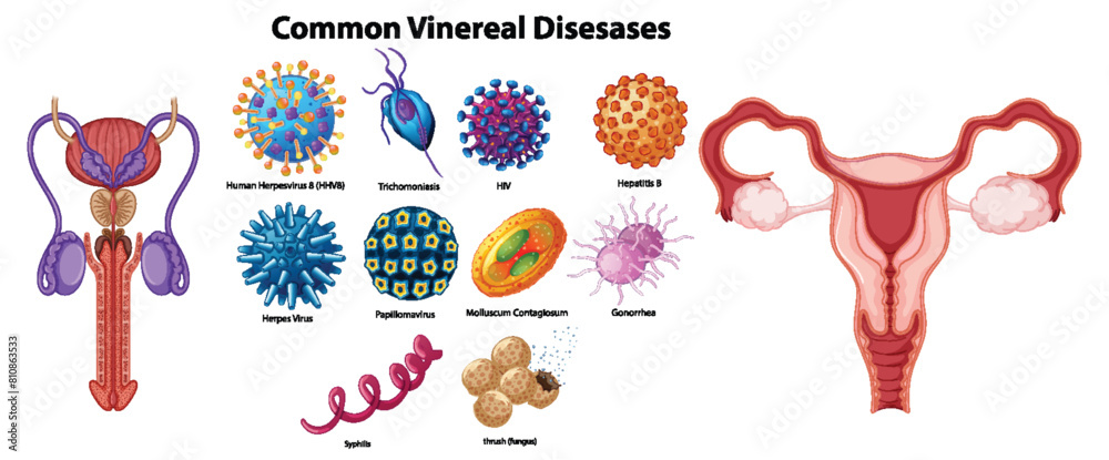 Detailed vector graphics of various STD pathogens Stock Vector | Adobe ...