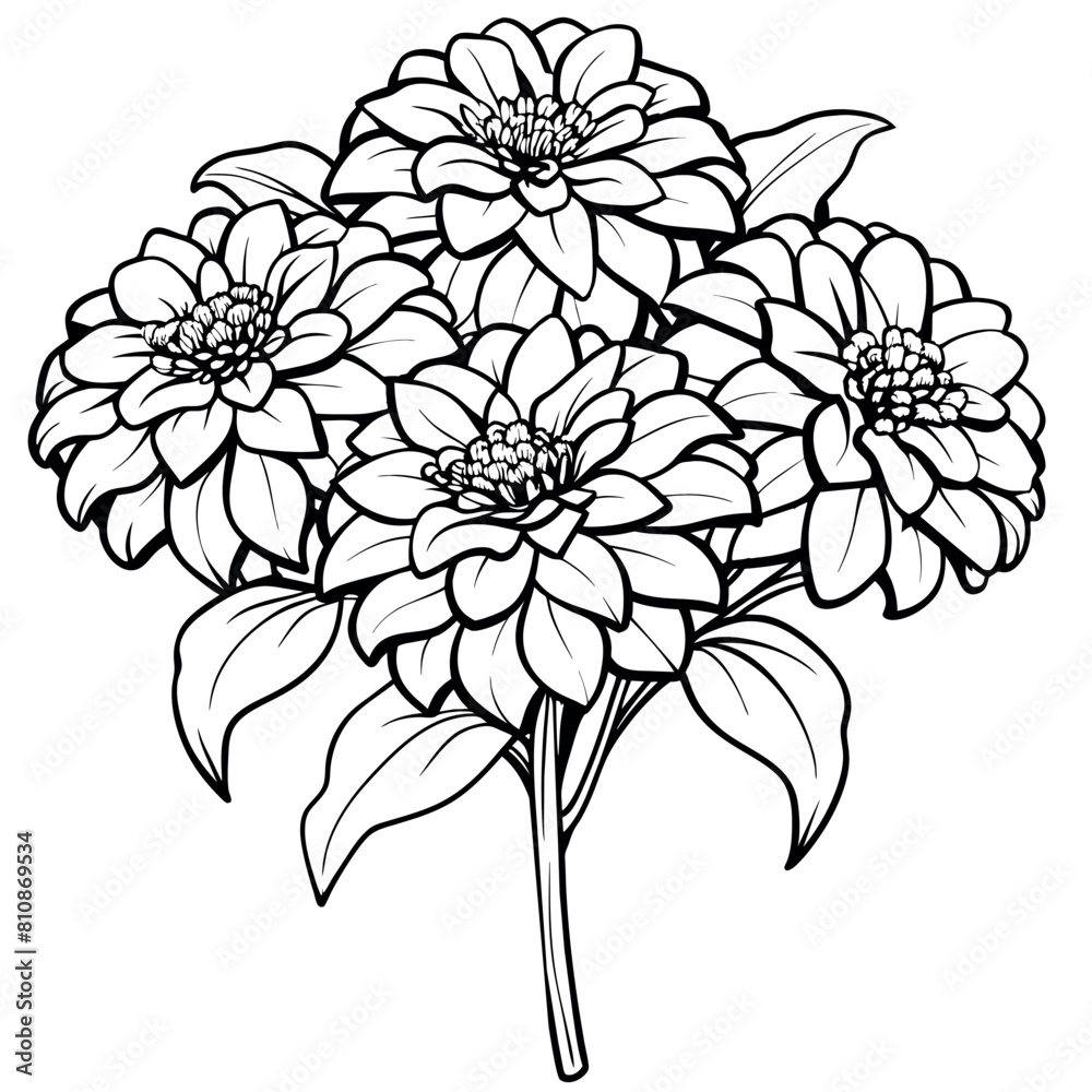 Zinnia Flower outline illustration coloring book page design, Zinnia ...
