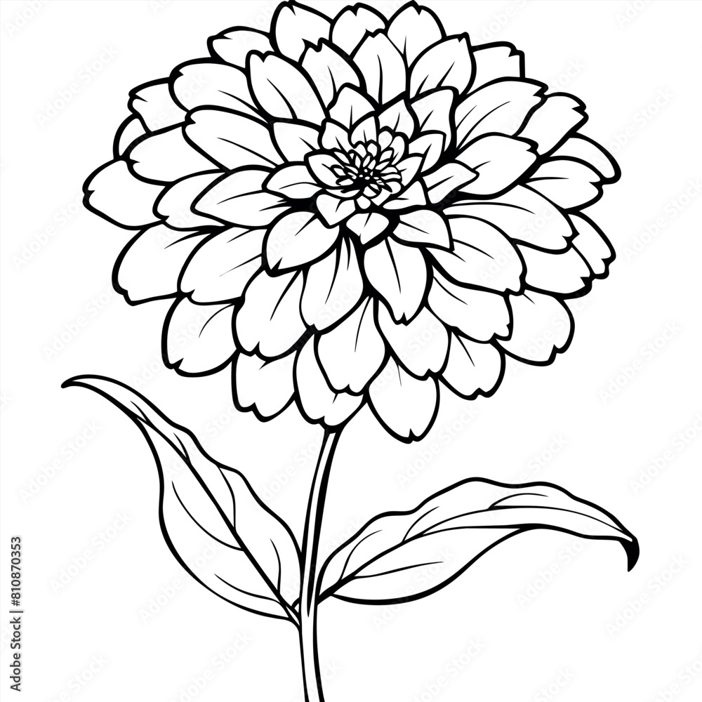 Zinnia Flower outline illustration coloring book page design, Zinnia ...
