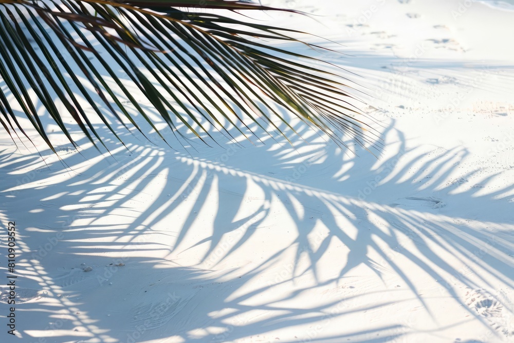 Top view of water surface with tropical leaf shadow. High-resolution ...