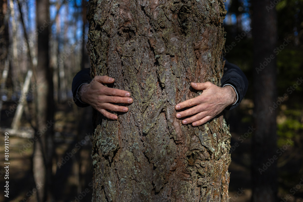 On the trunk of a large tree in the forest lie the hands of a man ...