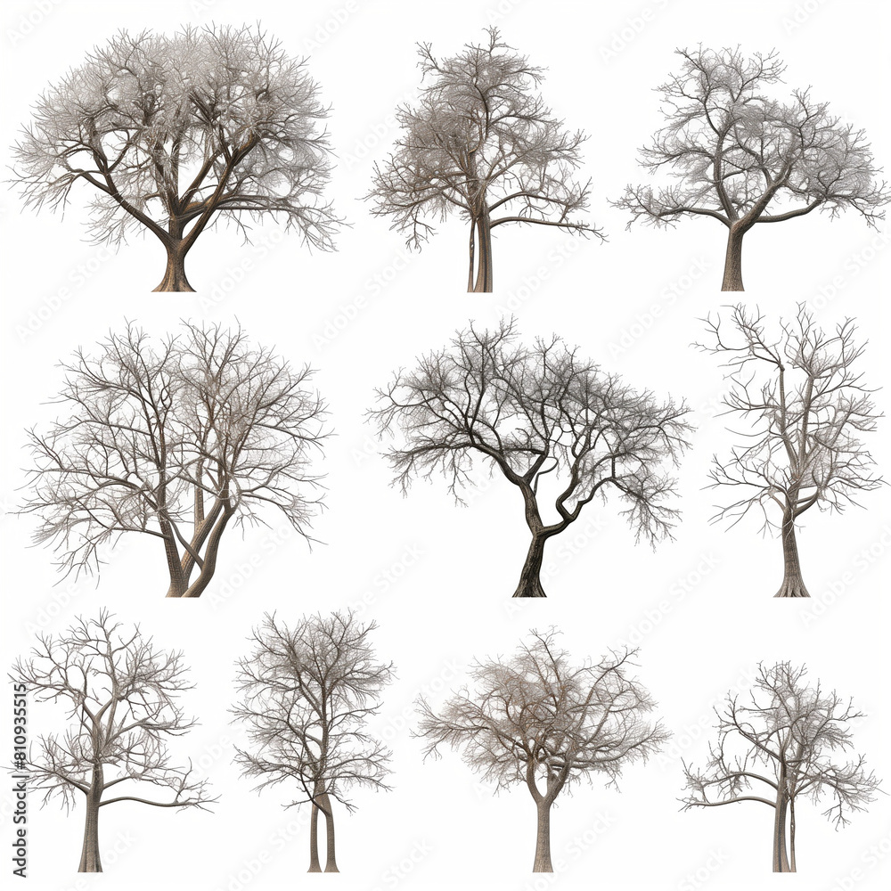 "Lonely Trees: Leafless Collection, Transparent Backgrounds, 3D ...