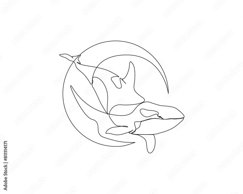 Continuous one line drawing of orca whale. Killer whale single outline ...