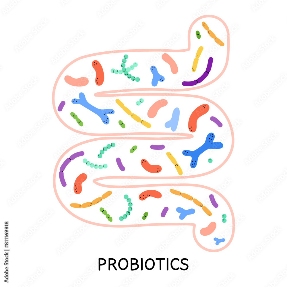 Intestines and Probiotics. Different colorful microbiome and microbiota ...