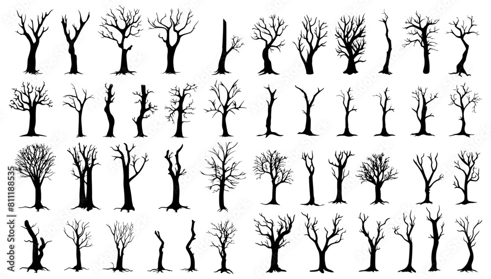 Bare trees silhouettes set. Vector illustration outline forest and ...