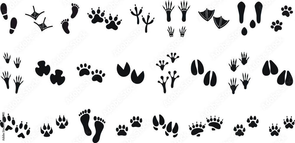 Animals paw prints. Cartoon mammal footprints, black bird foot. Wild ...