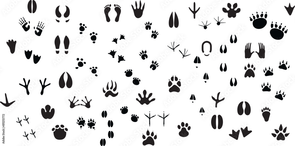 Animals paw prints. Cartoon mammal footprints, black bird foot. Wild ...