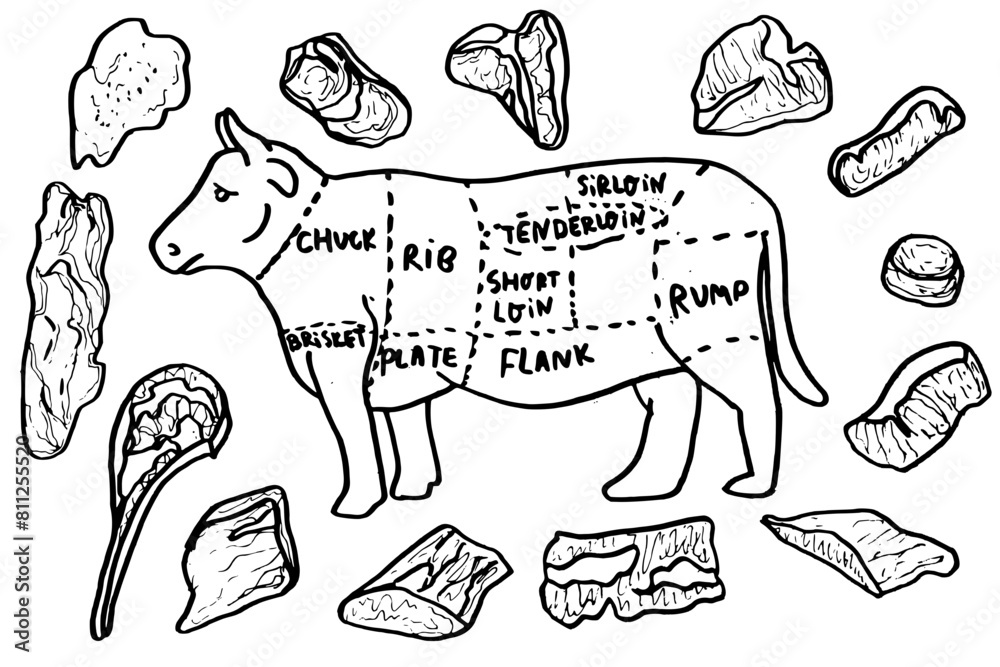 Beef cuts doodle hand drawn set. Template menu design for restaurant or ...