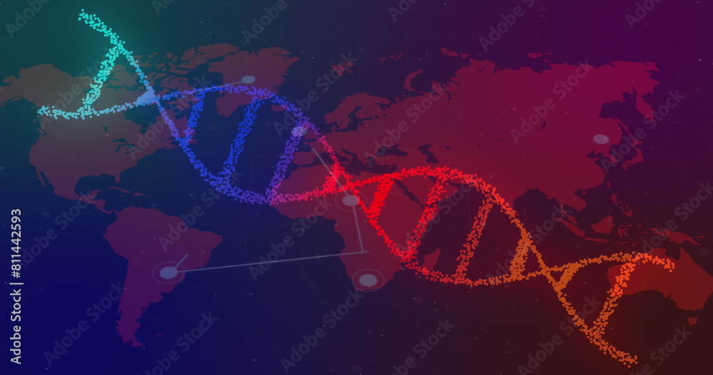 Image of dna strand spinning and connections over world map Stock ...