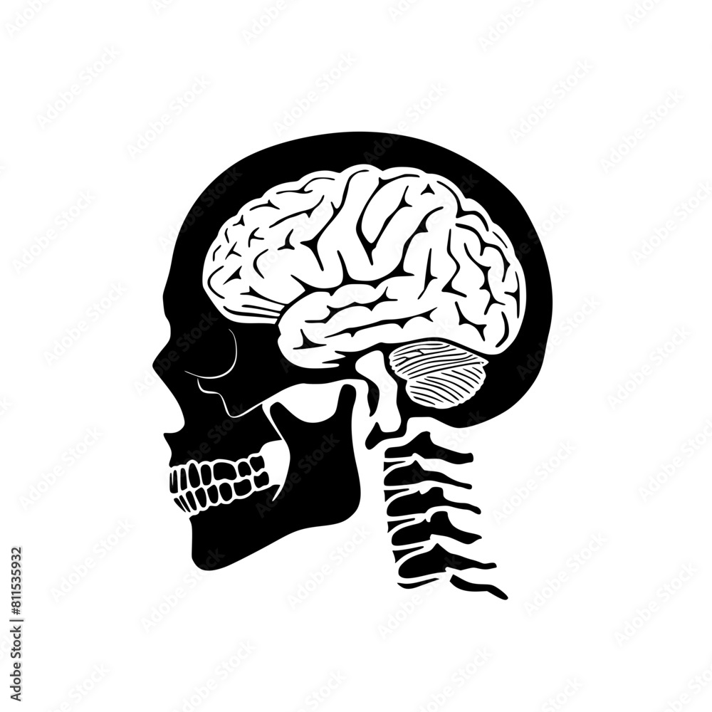 Brain svg, human brain svg, brain png, brain clipart, mental health svg ...